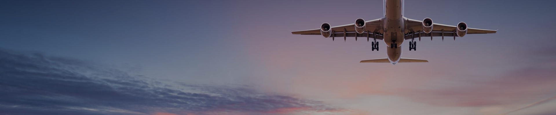 Pilot Network