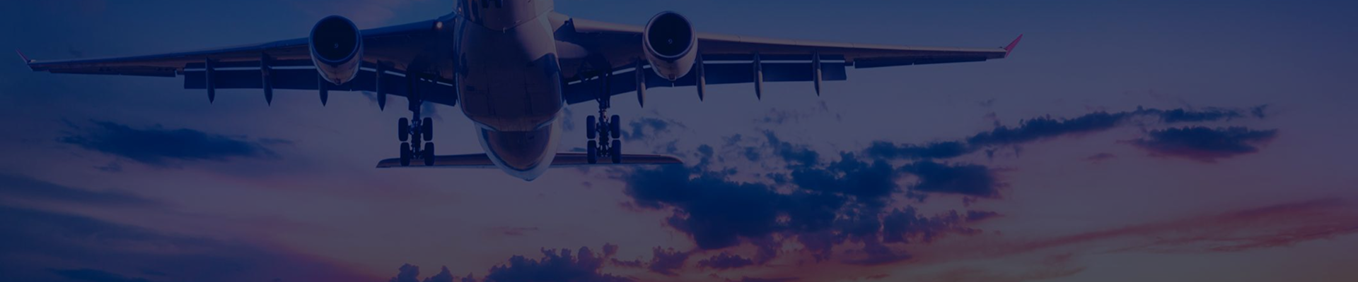 Pilot Network
